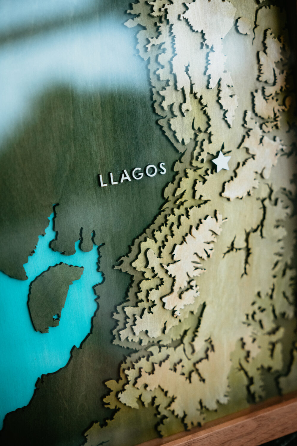 3D Wooden Topology Map - NYMAR Designs