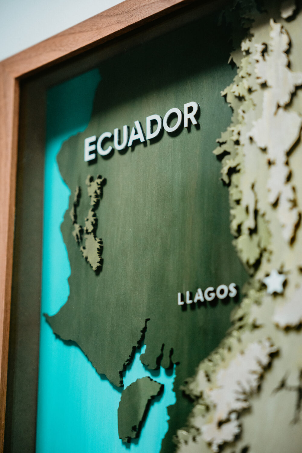 3D Wooden Topology Map - NYMAR Designs