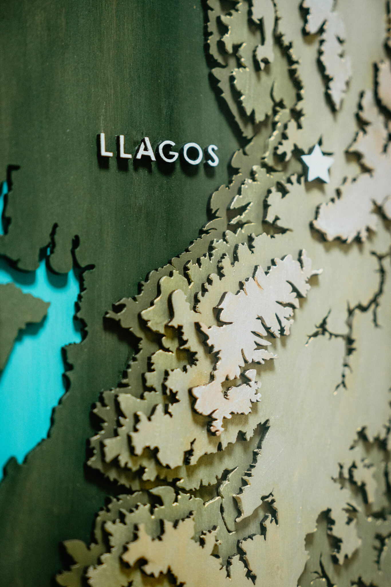 3D Wooden Topology Map - NYMAR Designs